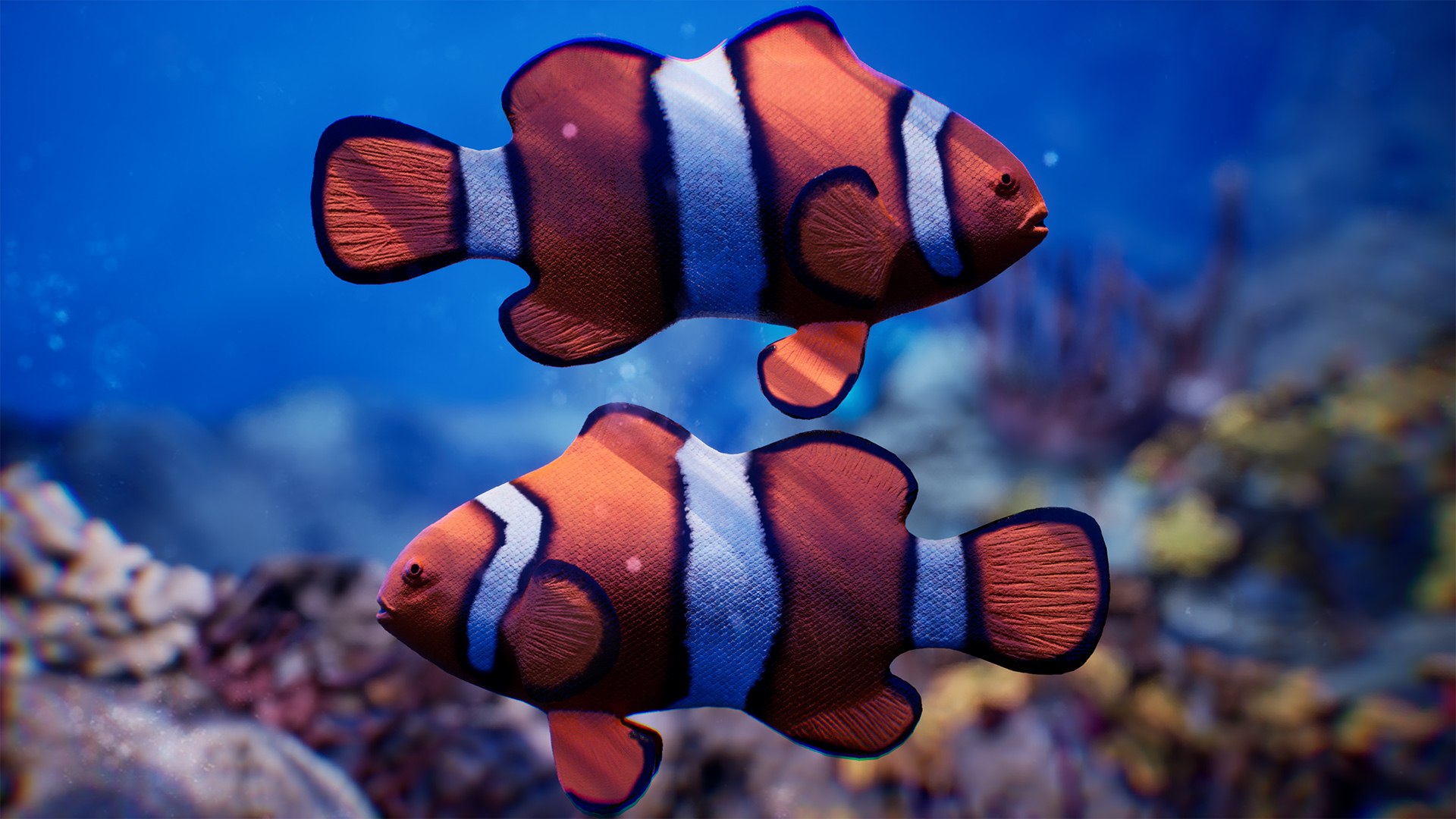 Sea Animals 12 Meshes 3D Model - TurboSquid 2109585