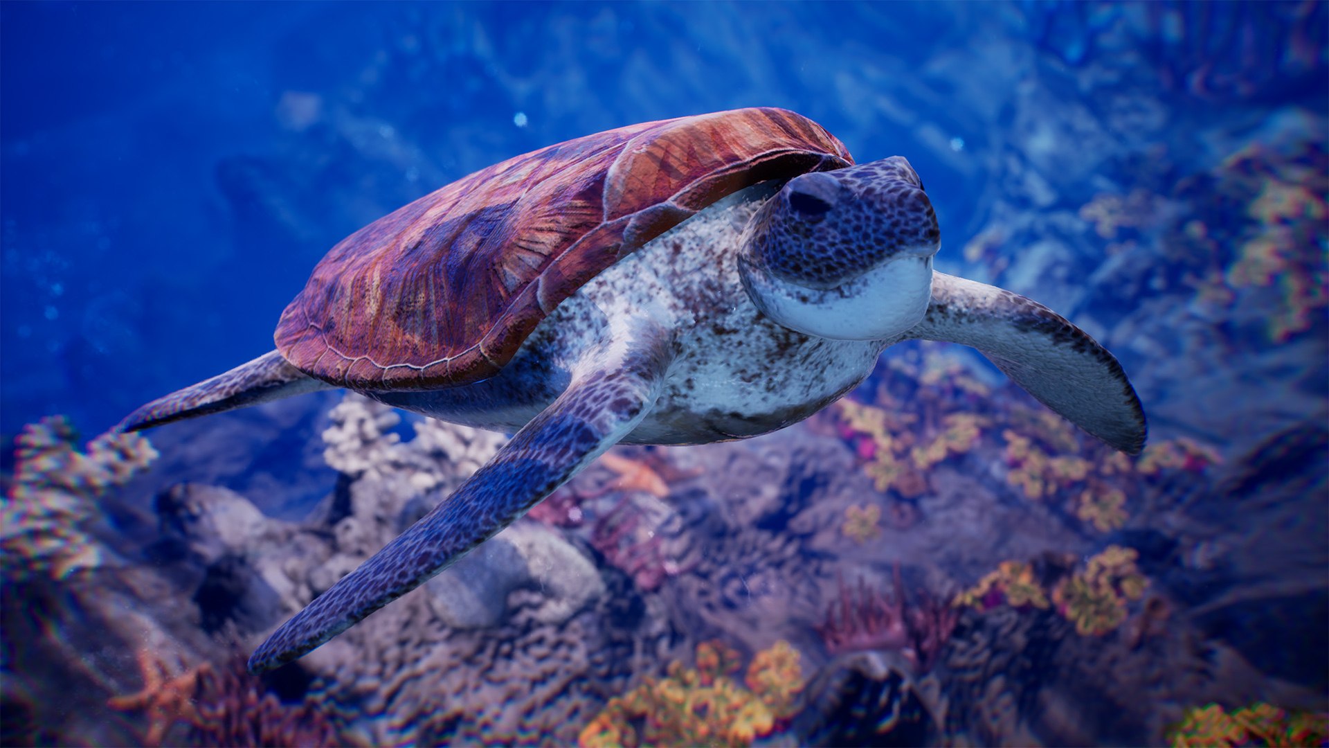 Sea Animals 12 Meshes 3D Model - TurboSquid 2109585