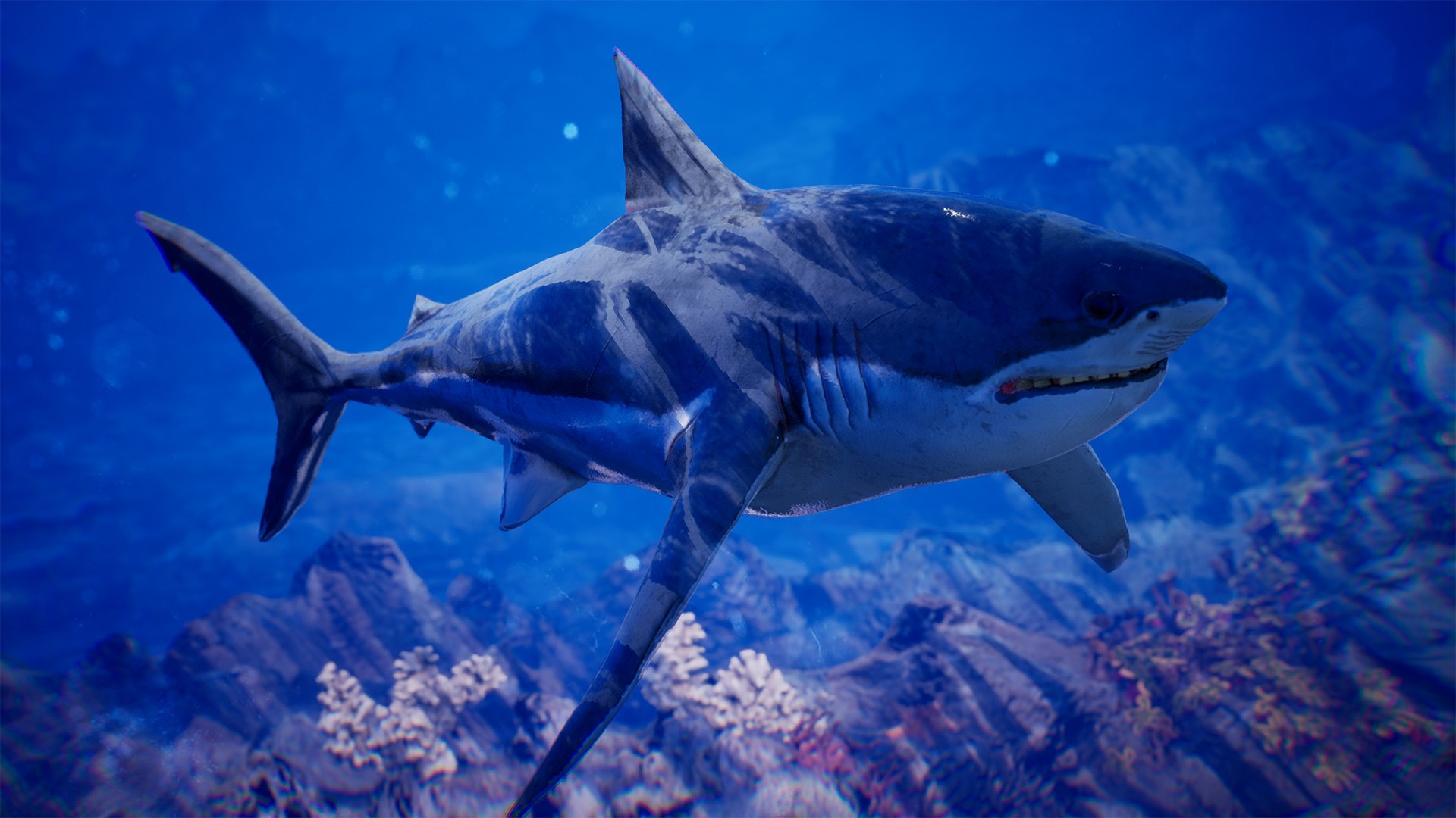 Sea Animals 12 Meshes 3D Model - TurboSquid 2109585