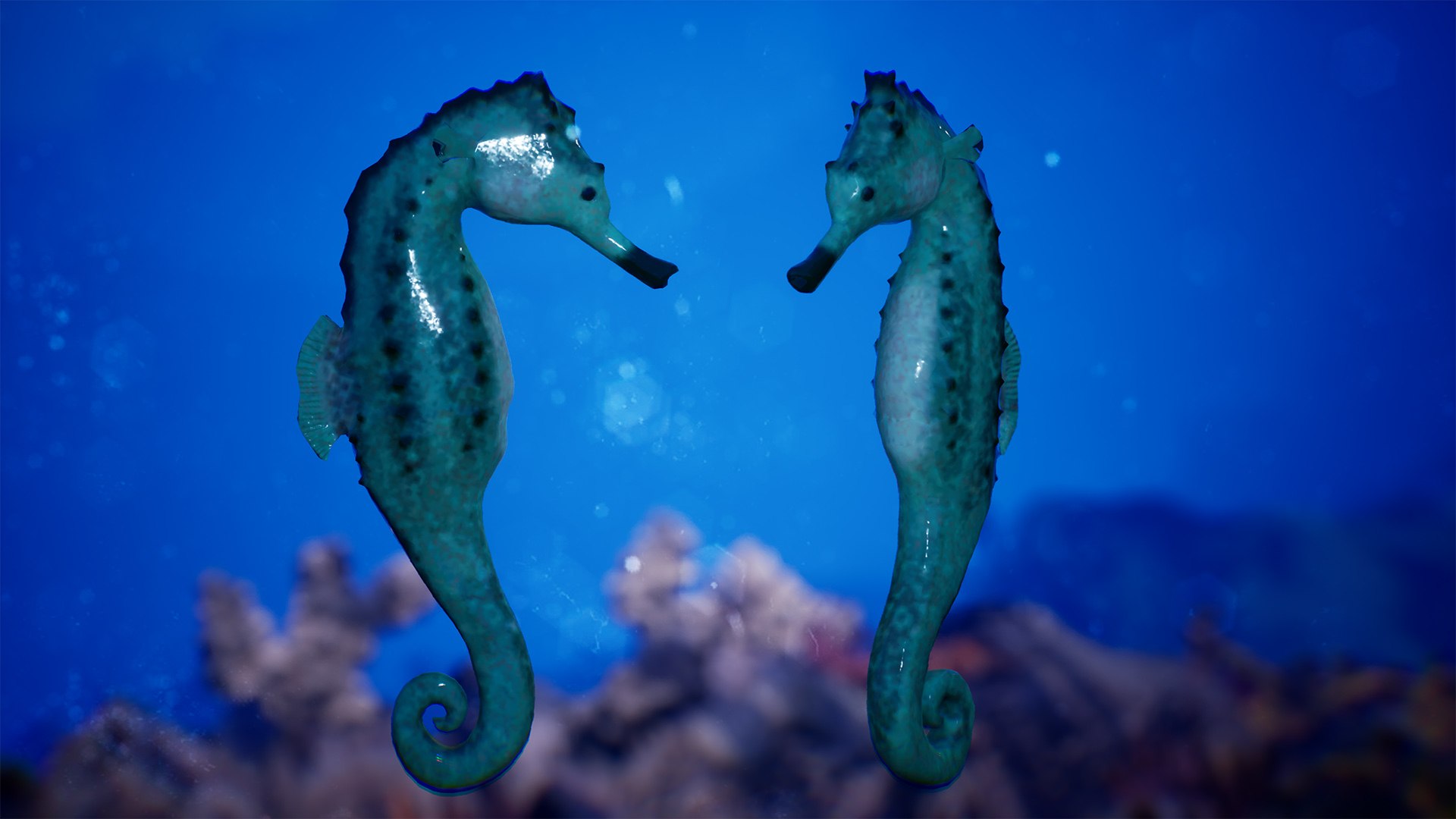 Sea Animals 12 Meshes 3D Model - TurboSquid 2109585