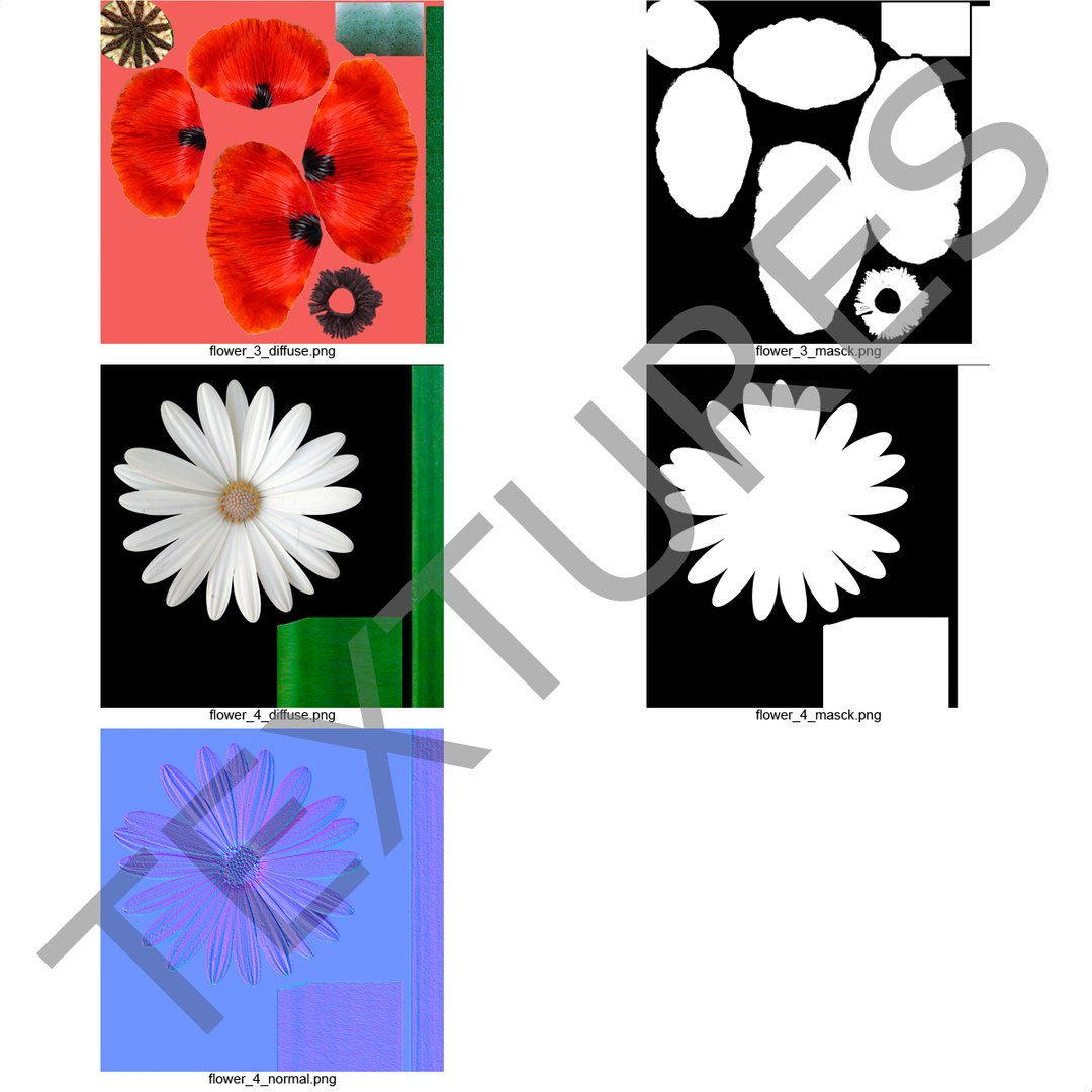 3d Max Wild Flowers