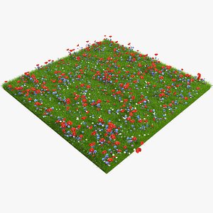 c4d edelweiss flower