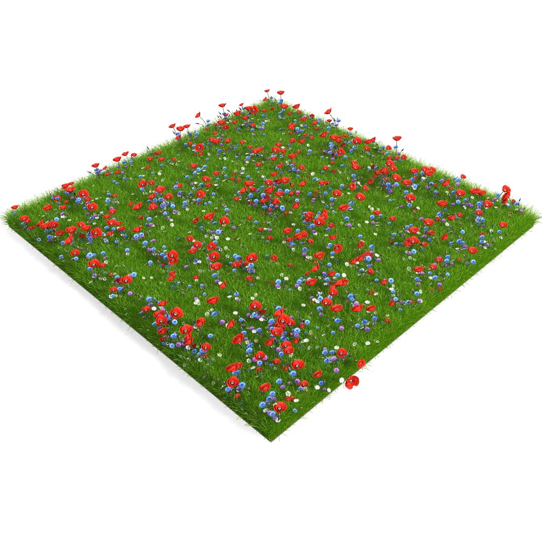 3d Max Wild Flowers