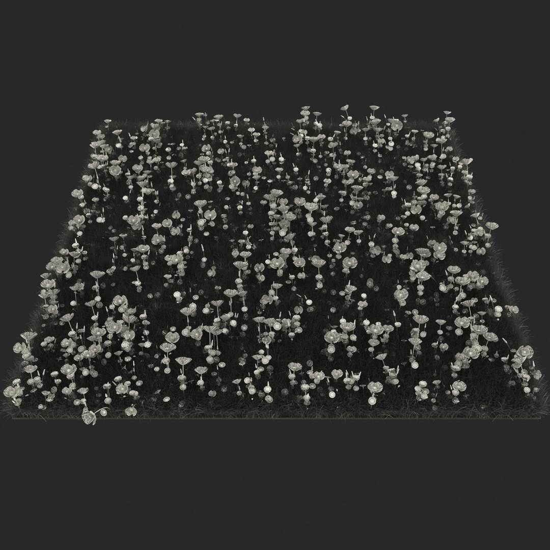 3d Max Wild Flowers
