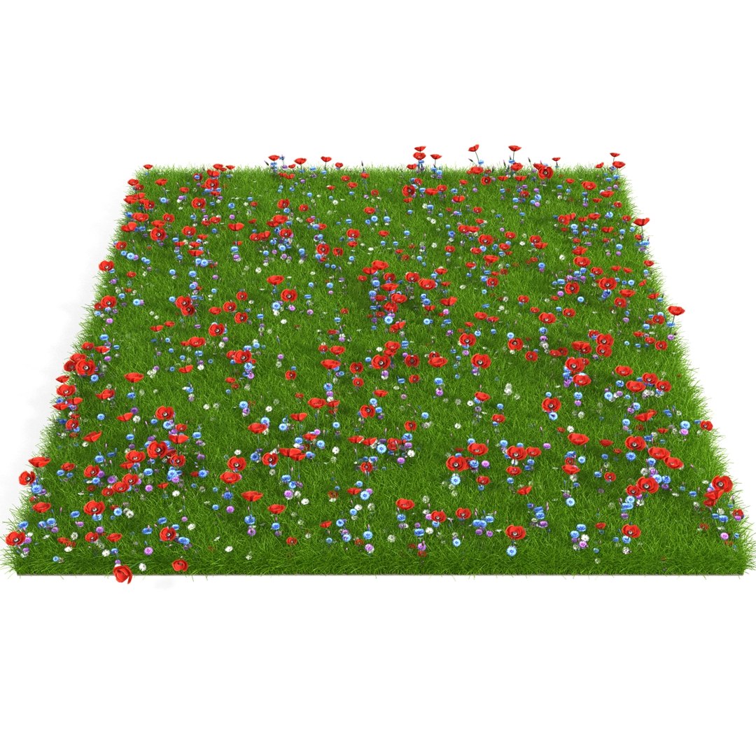 3d Max Wild Flowers