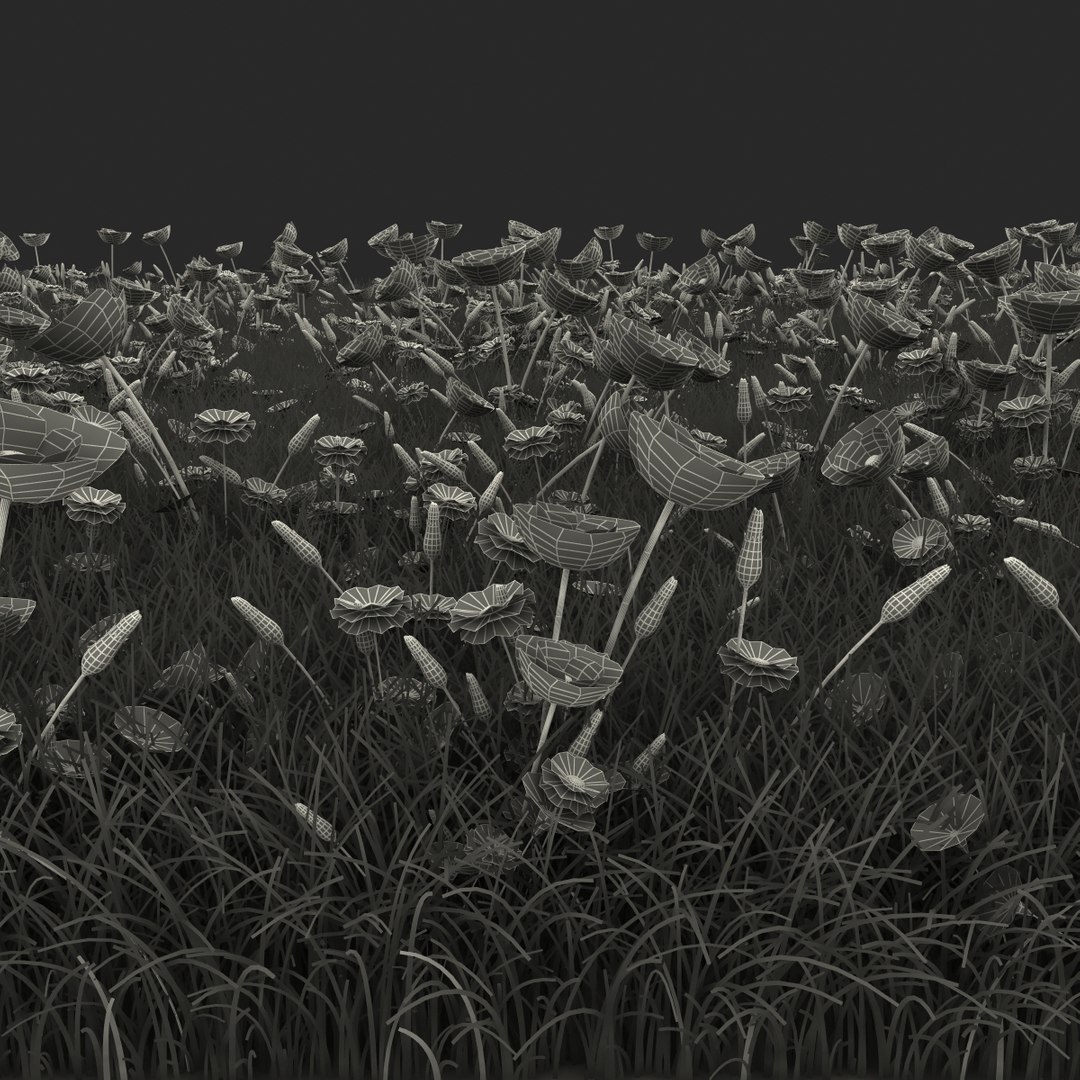 3d Max Wild Flowers