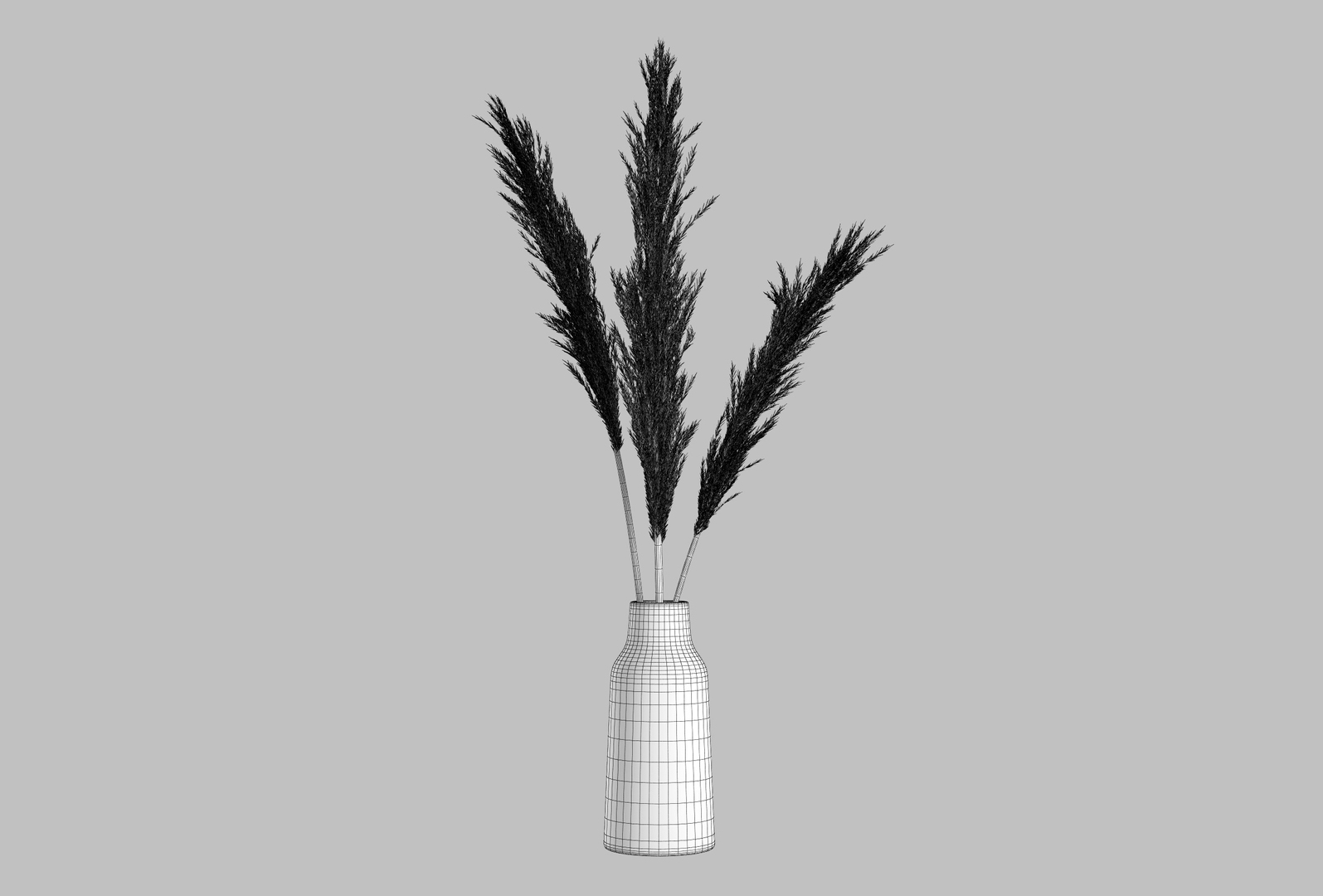 3d Dried Pampas Grass In Vase Turbosquid 1954341
