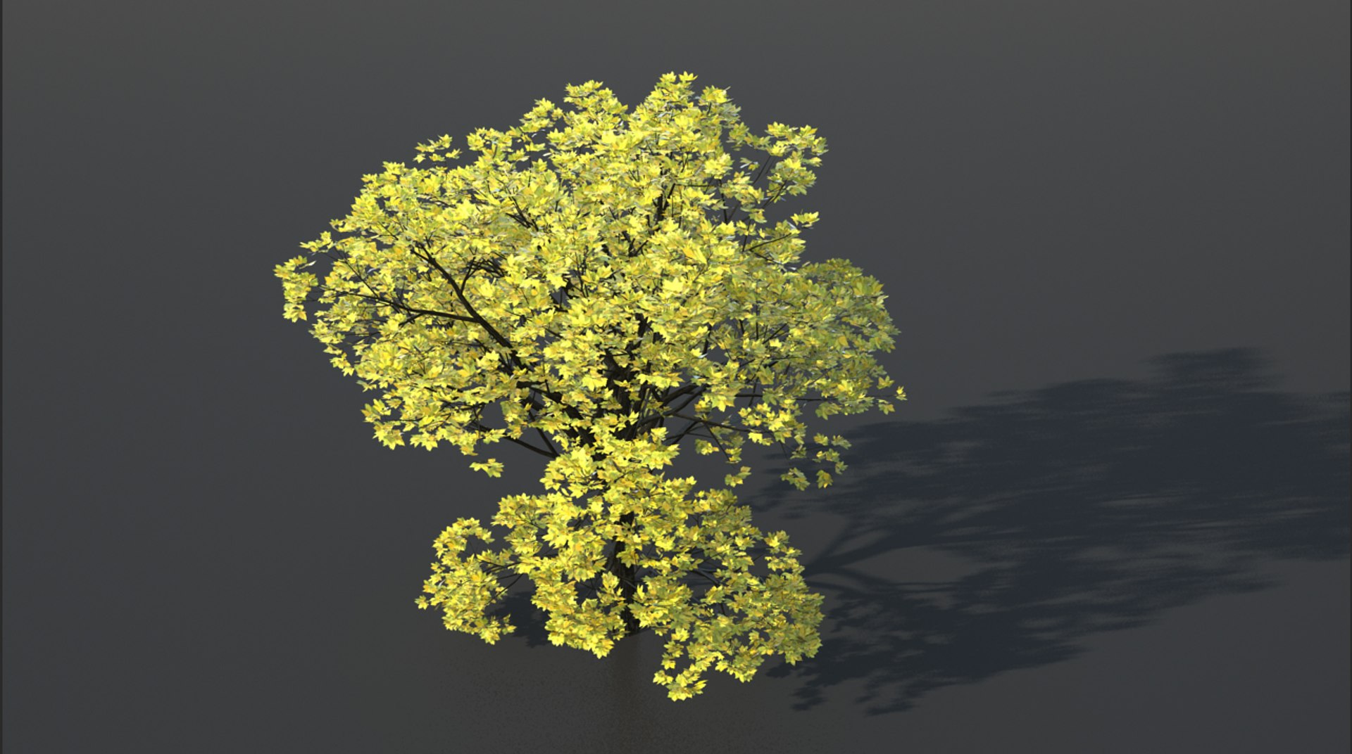 broadleaf materials obj