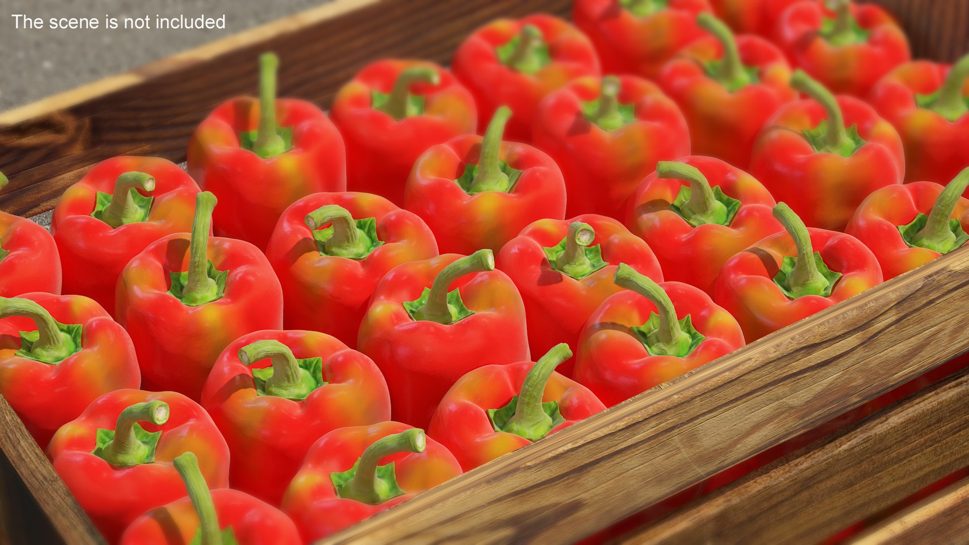 3D Red Long Pepper Bicolor - TurboSquid 1980776