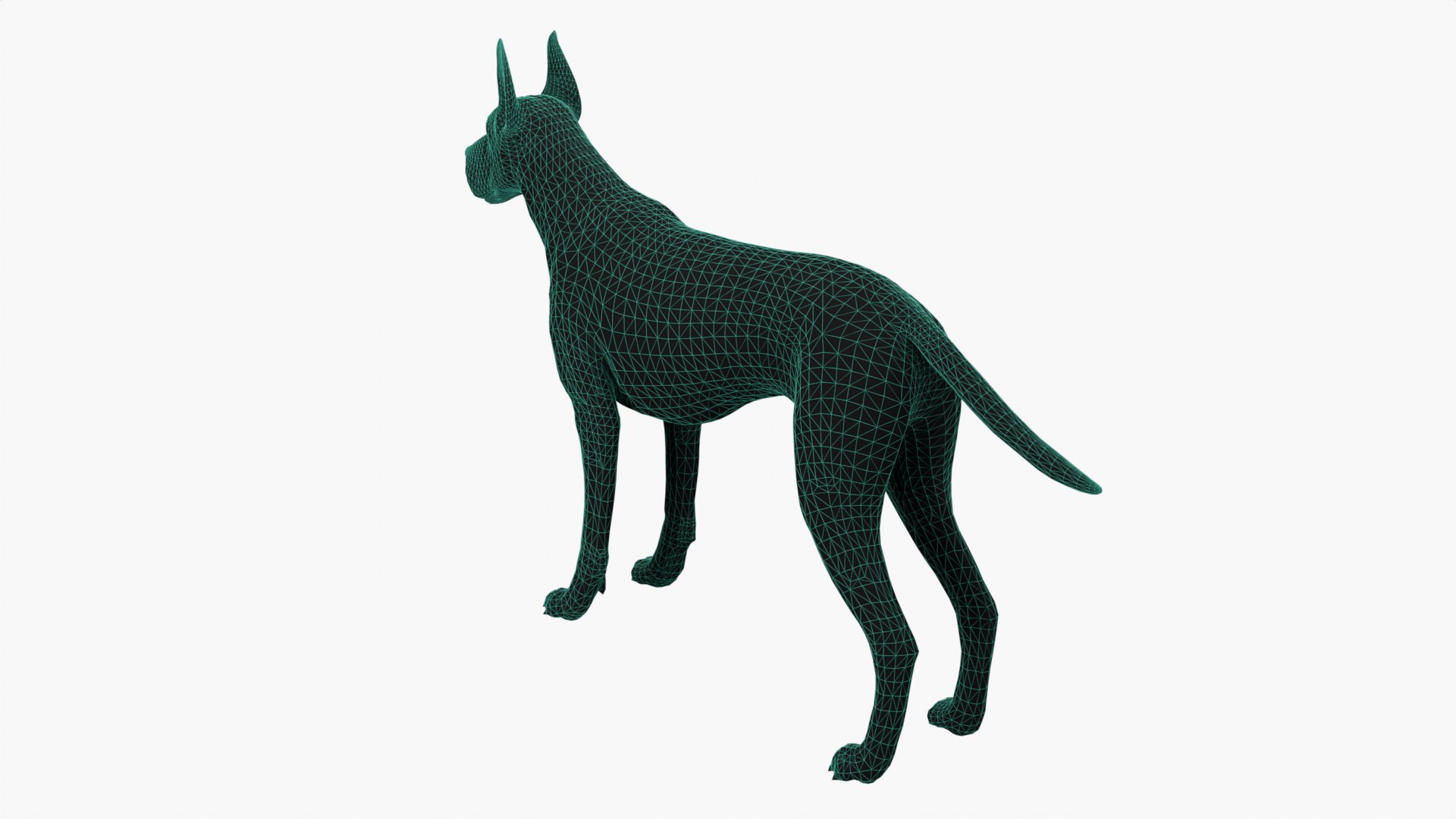 3D model Great Dane - TurboSquid 2061232