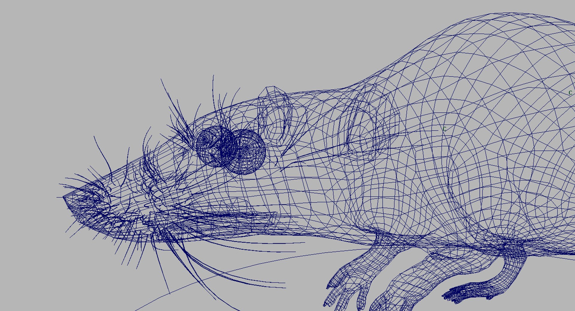 Rat Model - TurboSquid 1437254