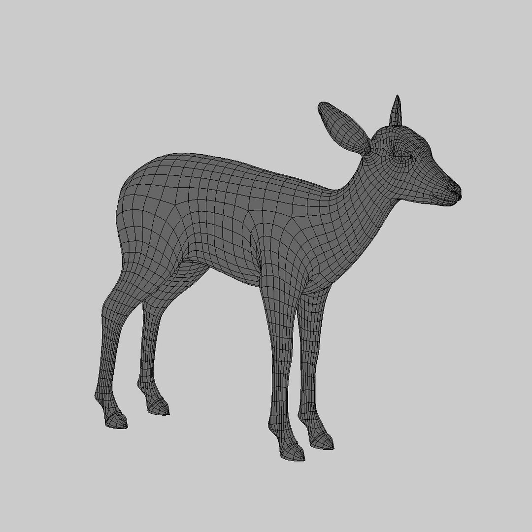 fawn animation 3d model