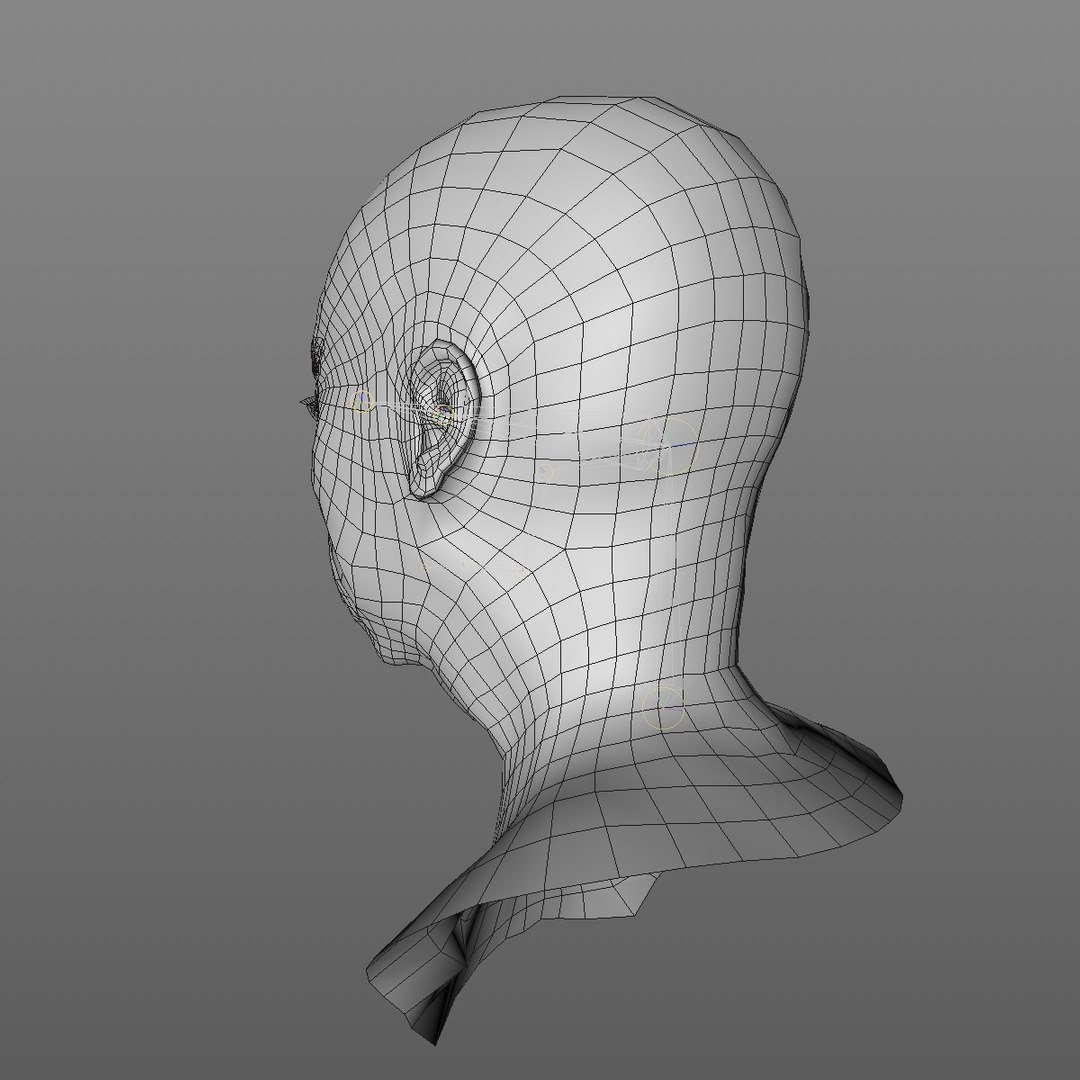 Realistic head base mesh 3D model - TurboSquid 1438811