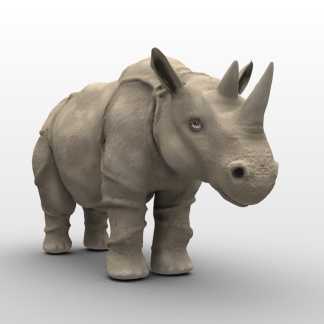 Rhino Rhinoceros C4d
