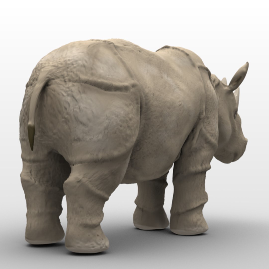 Rhino Rhinoceros C4d