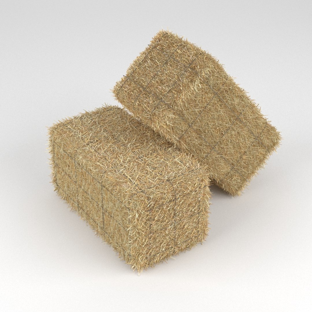 3d Hay Bale 2