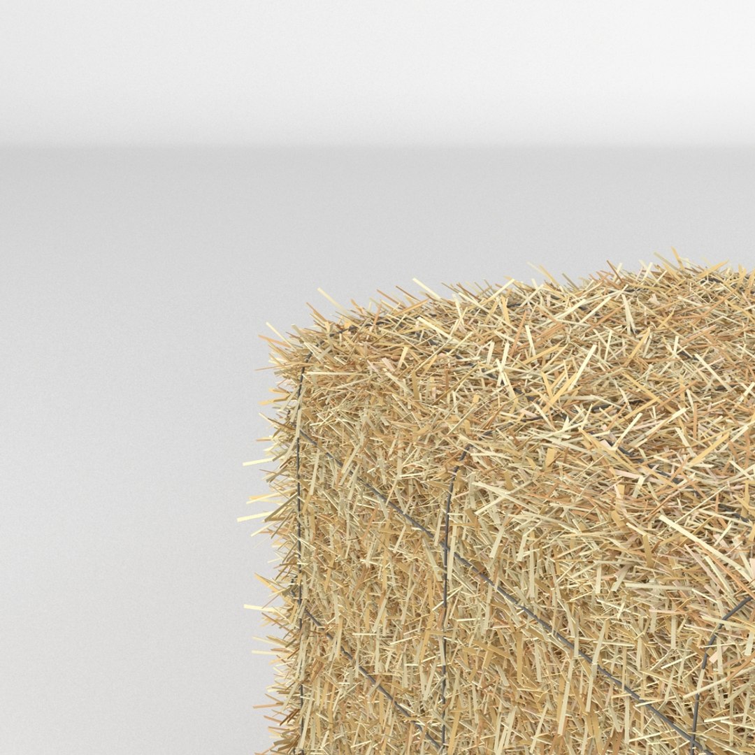 3d Hay Bale 2