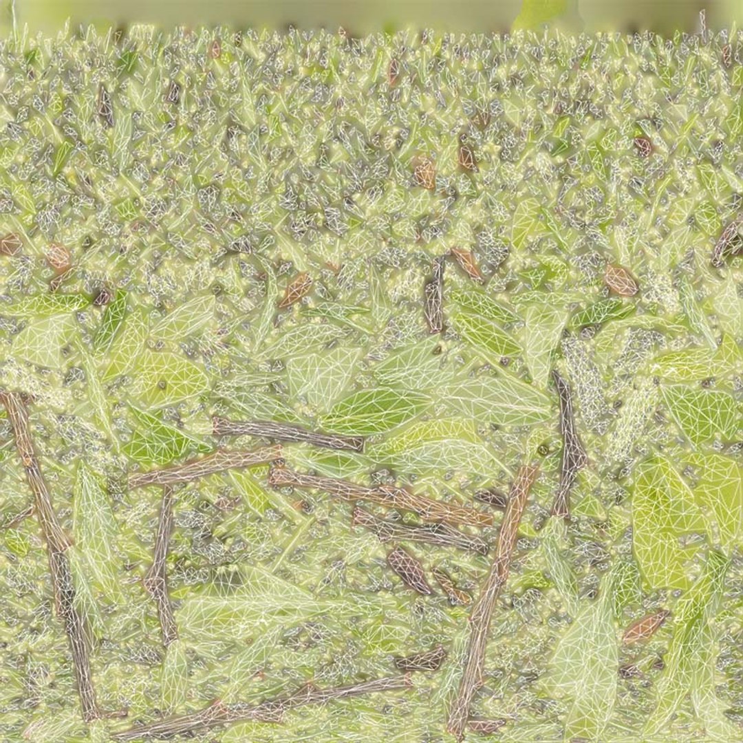 Salix Hastata Halberd Willow Salicaceae Sprout Remastered 3D Model ...