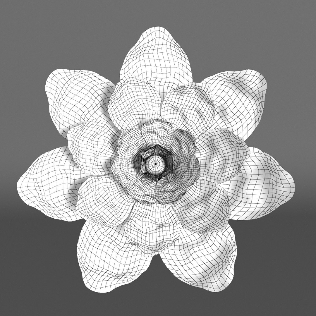 Free 3D Bijouterie Model - TurboSquid 2240582