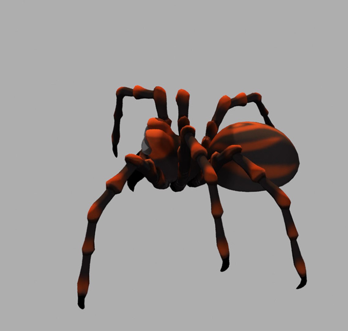 3d Cartoon Spider