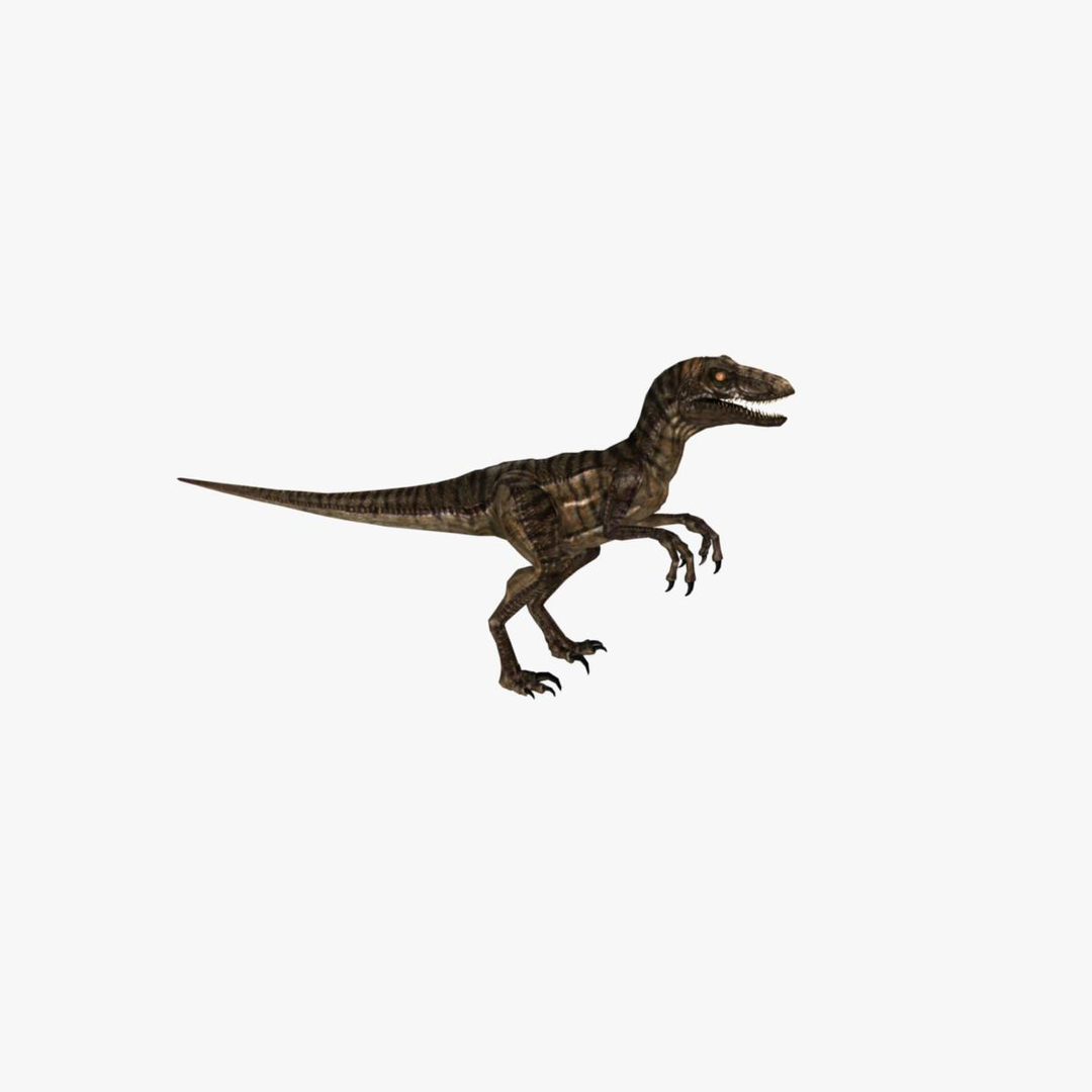 3d Model Of Rigged Velociraptor Animation Raptor