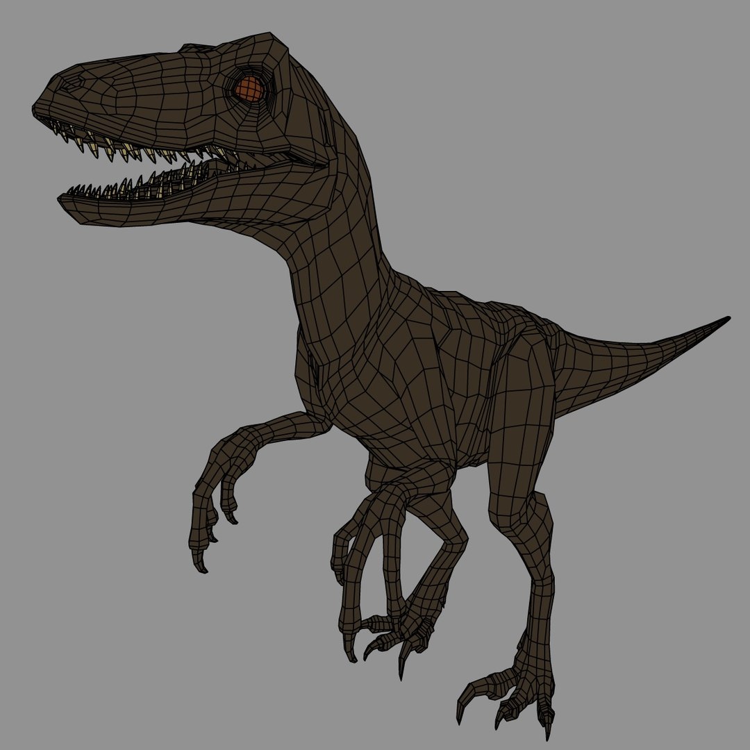3d Model Of Rigged Velociraptor Animation Raptor