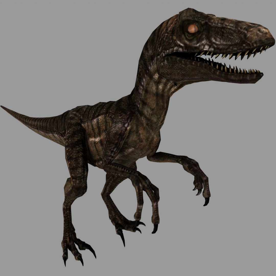 3d Model Of Rigged Velociraptor Animation Raptor