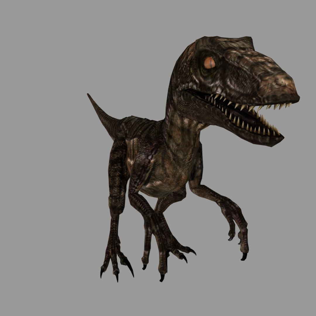 3d Model Of Rigged Velociraptor Animation Raptor
