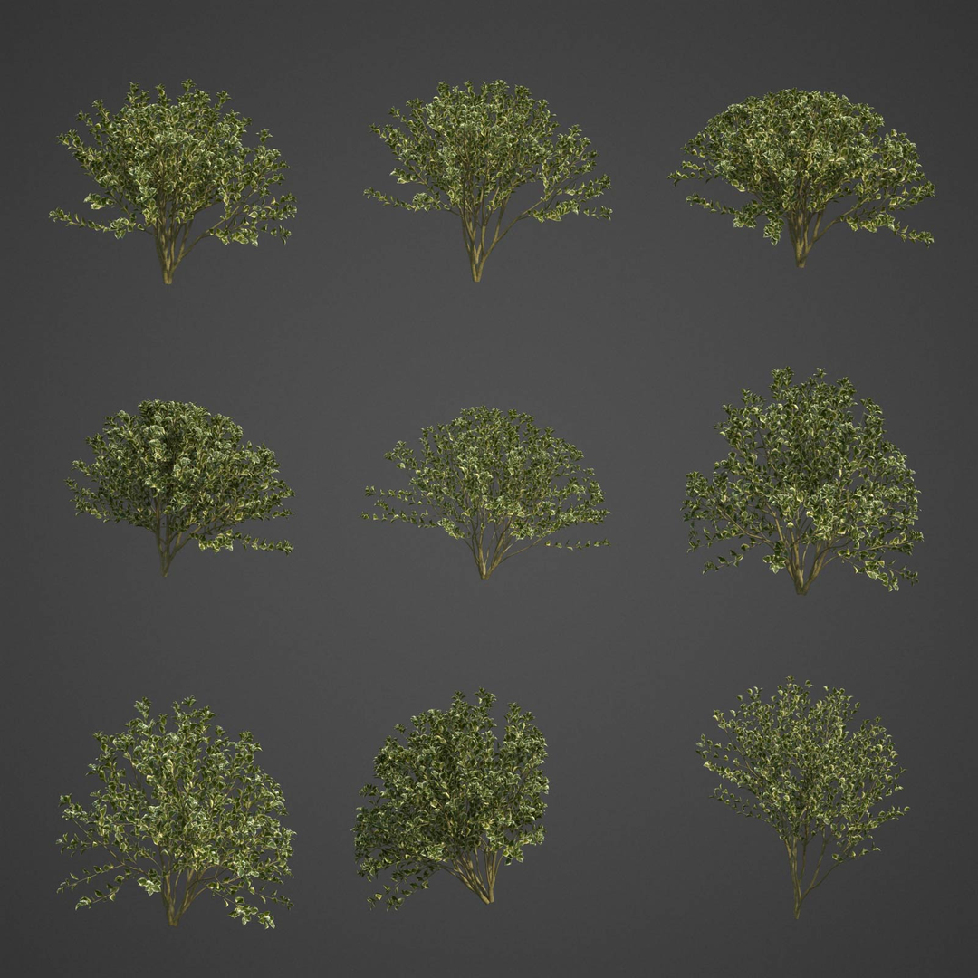 3D Shrub Bush Nature - TurboSquid 1677316