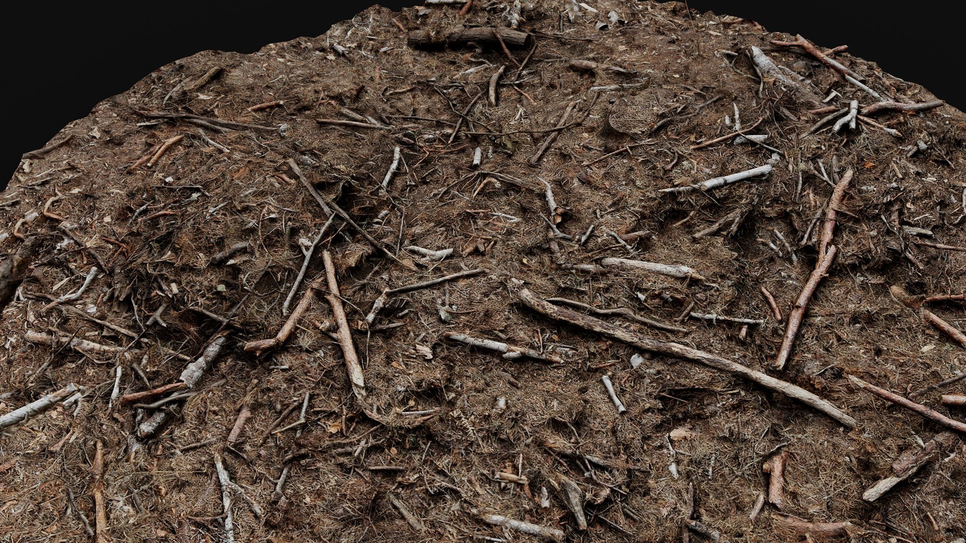 Forest Ground Broken Branches Wood Debris Part2 Photogrammetry Model ...