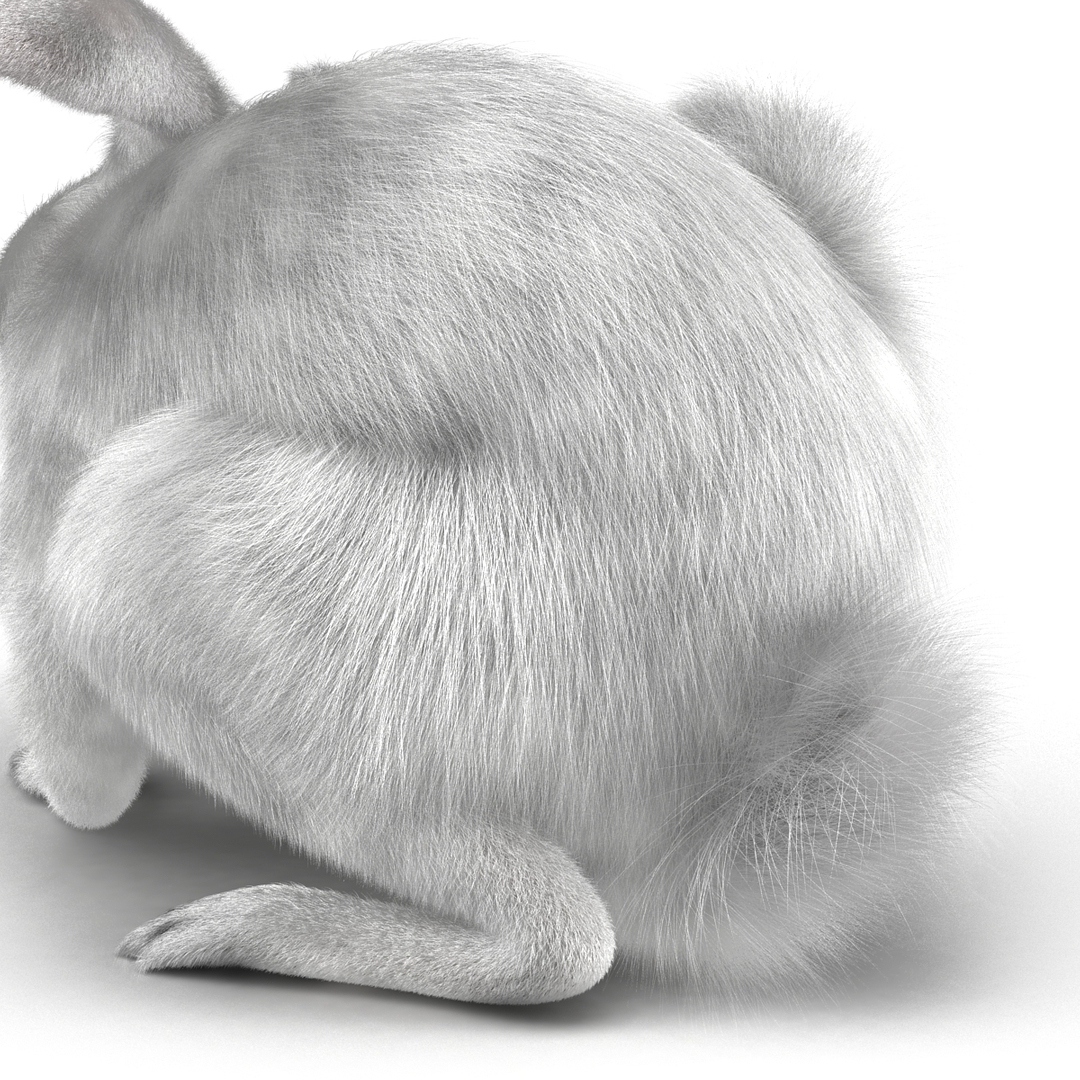 3d model white rabbit pose 4