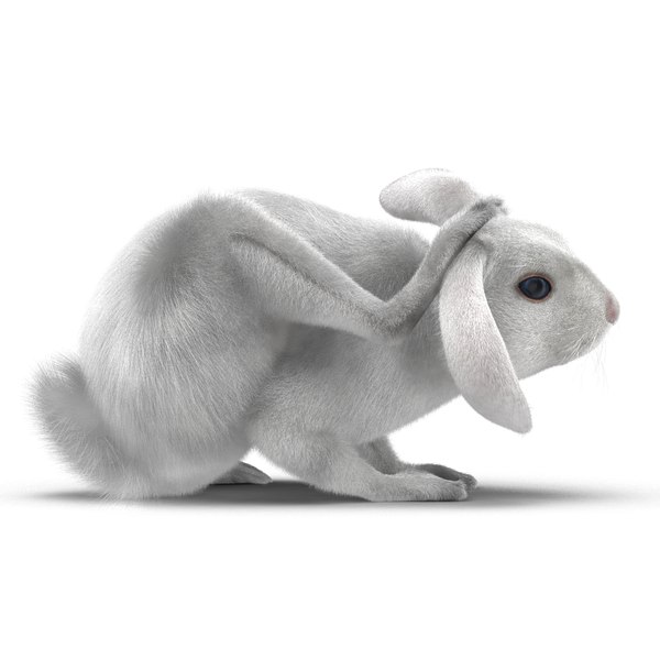 3d model white rabbit pose 4