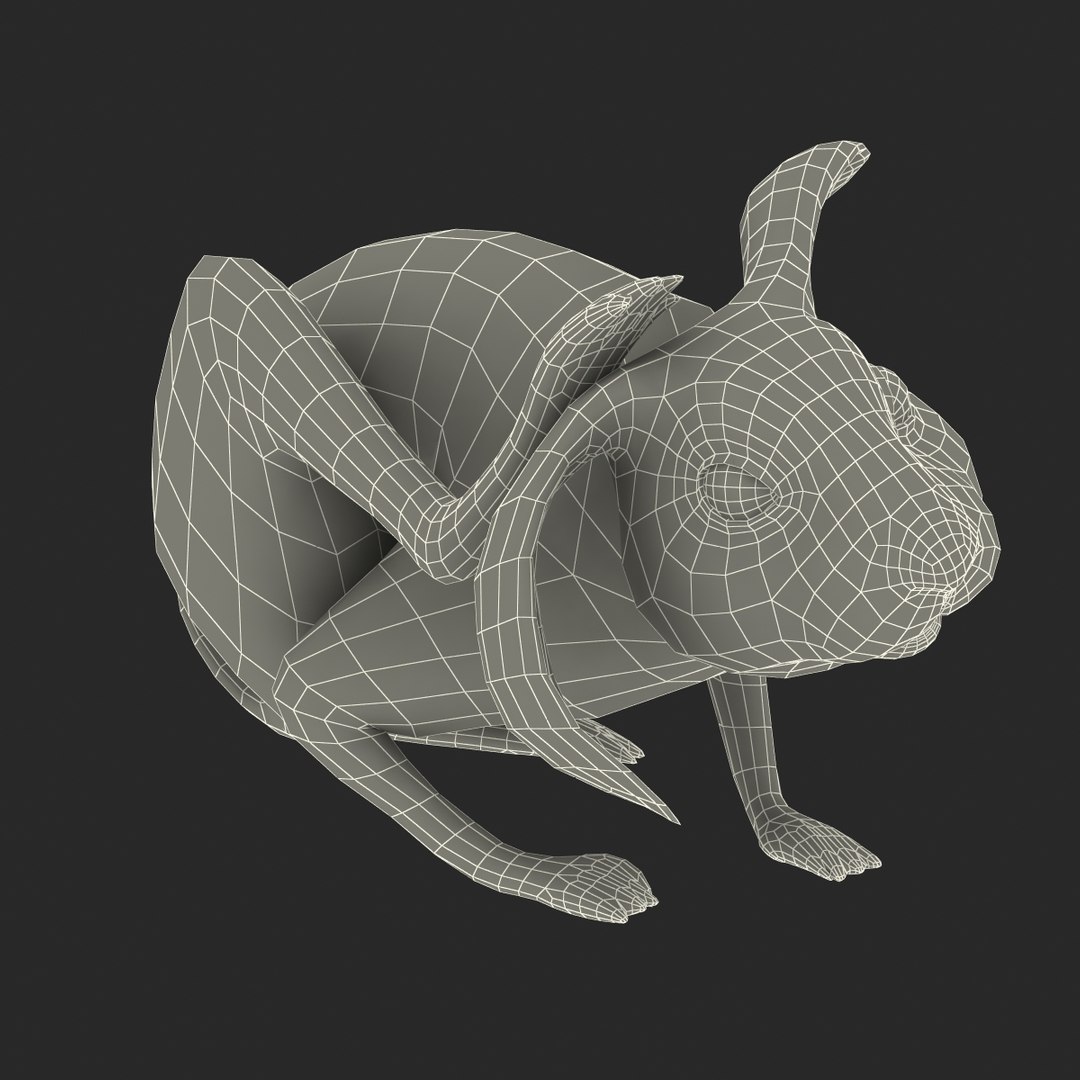 3d Model White Rabbit Pose 4