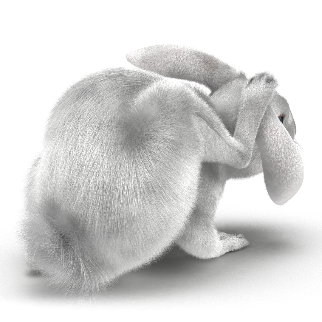 3d model white rabbit pose 4