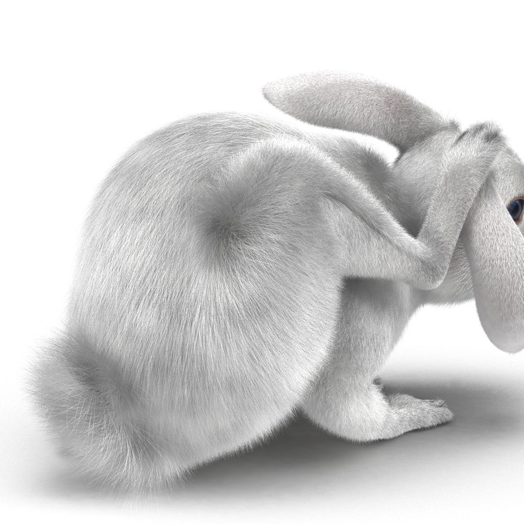 3d Model White Rabbit Pose 4