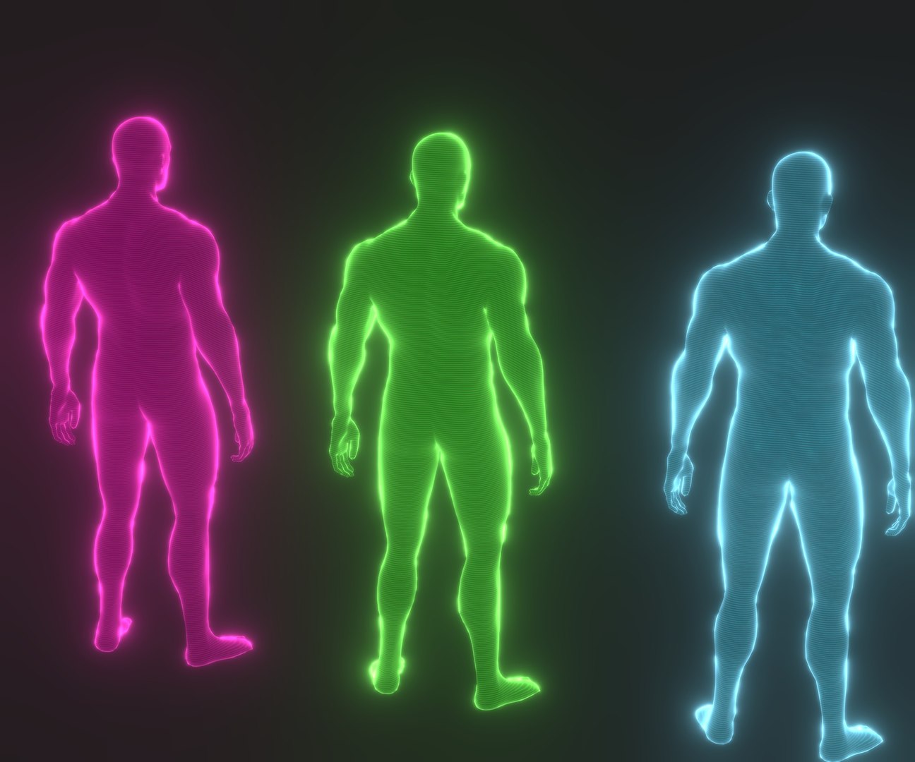 Animated Human Hologram Male And Female 3D Model 28 Animations Model ...