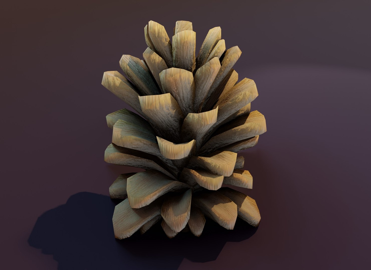 Pine Cone 3D Model - TurboSquid 1710329