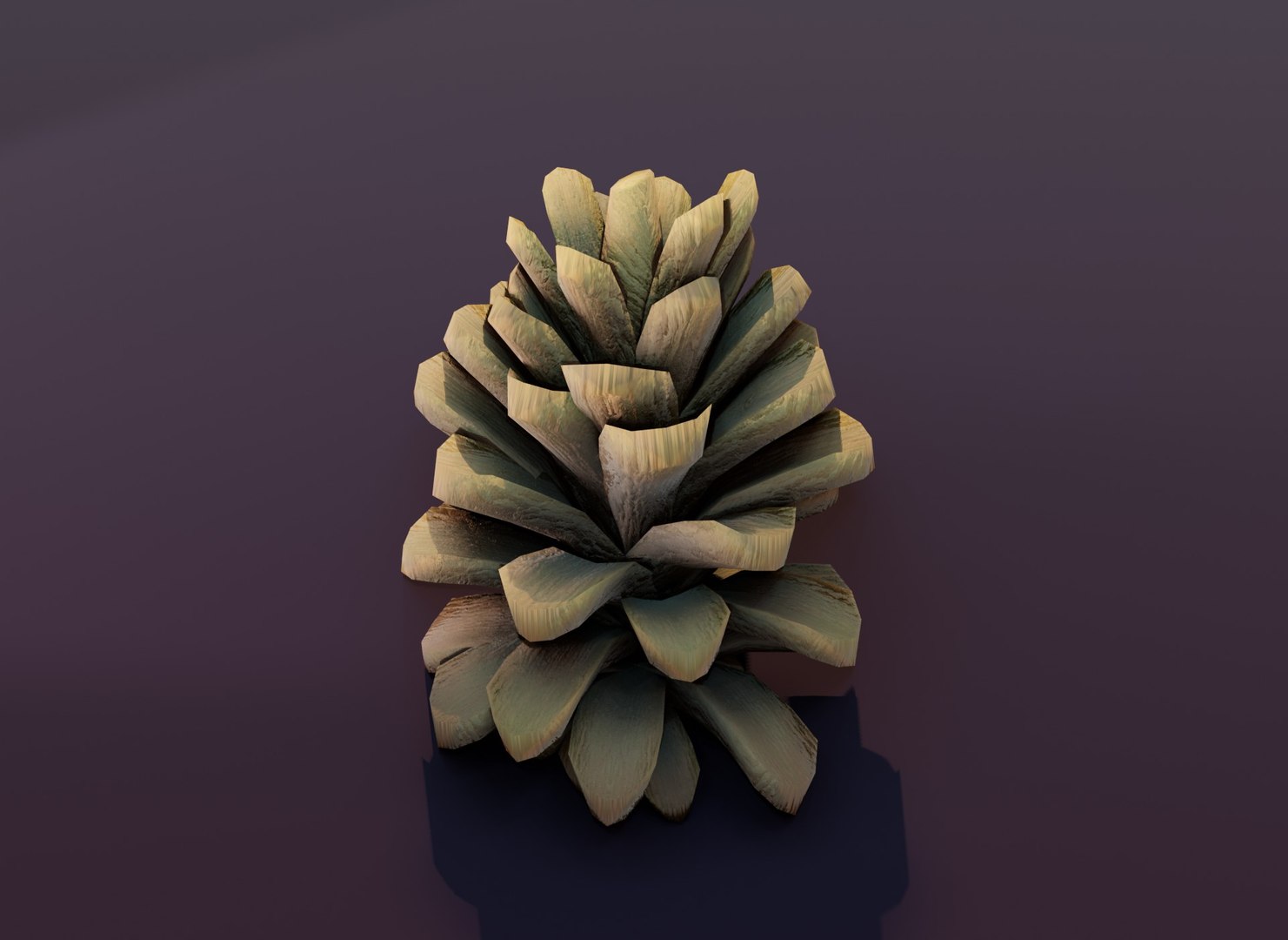 Pine Cone 3D Model - TurboSquid 1710329
