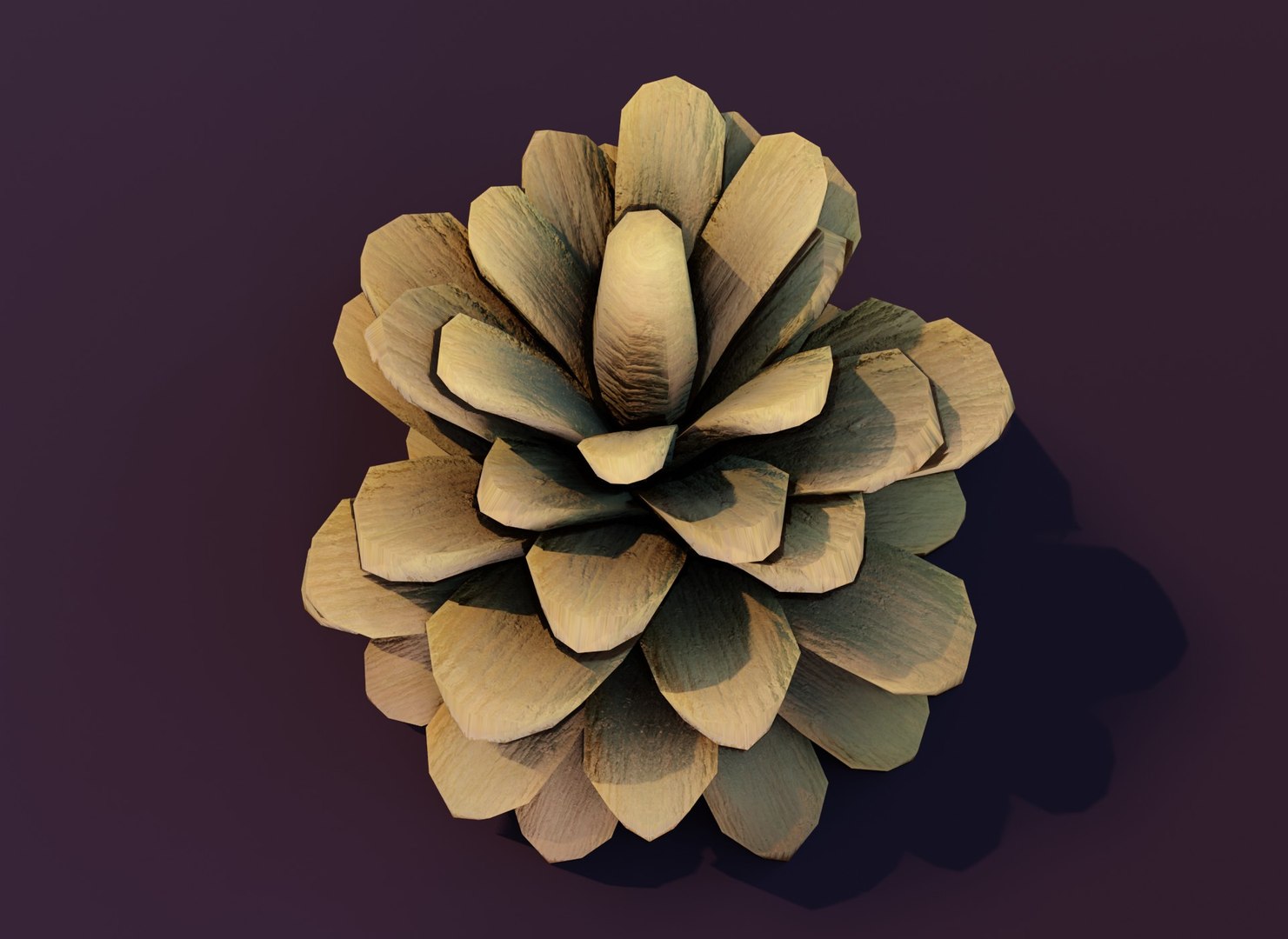Pine Cone 3D Model - TurboSquid 1710329