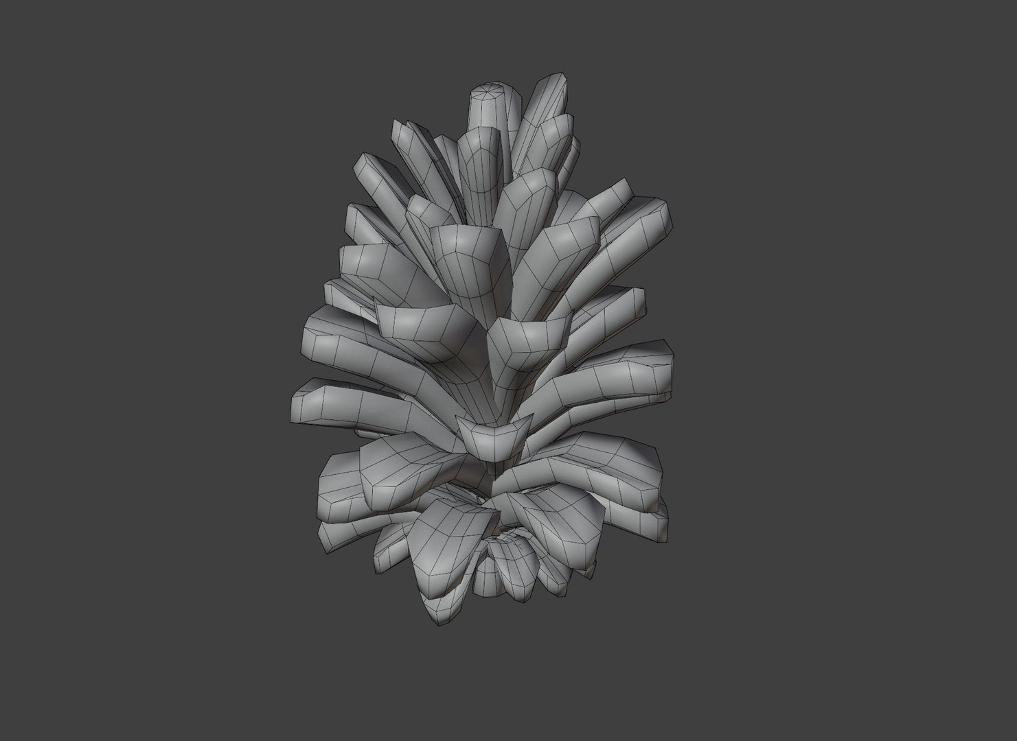 Pine Cone 3D Model - TurboSquid 1710329