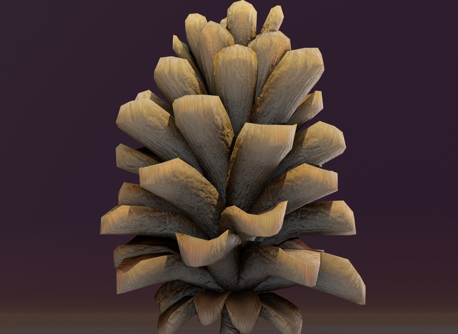 Pine Cone 3D Model - TurboSquid 1710329
