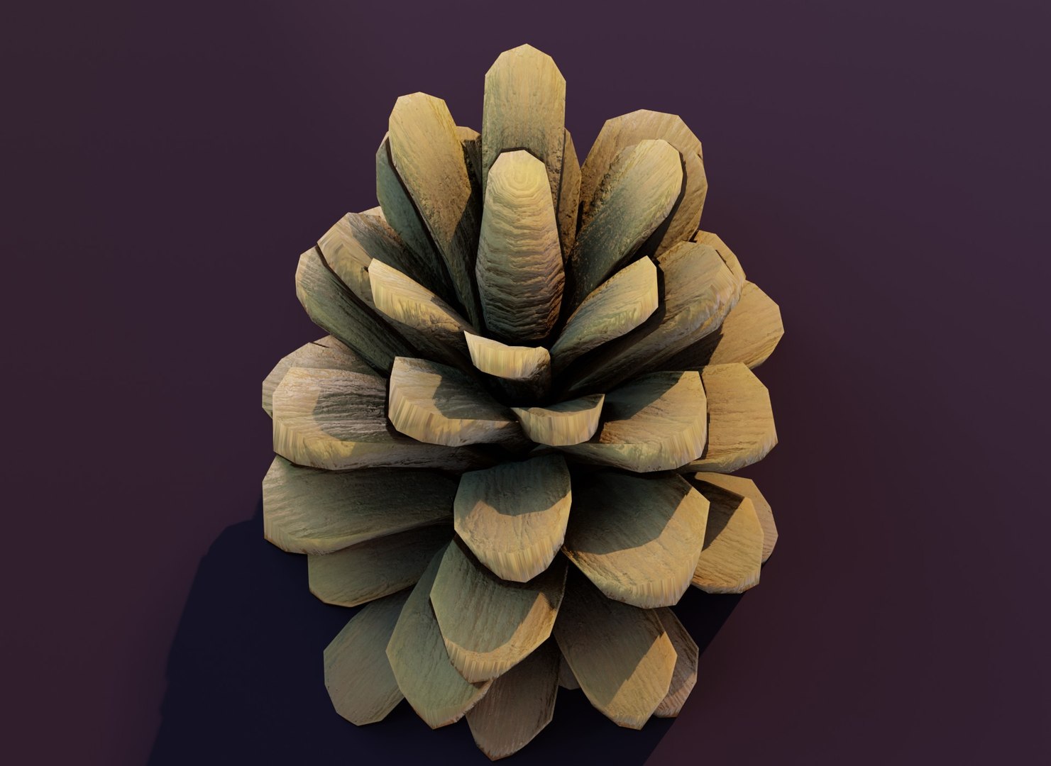Pine Cone 3D Model - TurboSquid 1710329