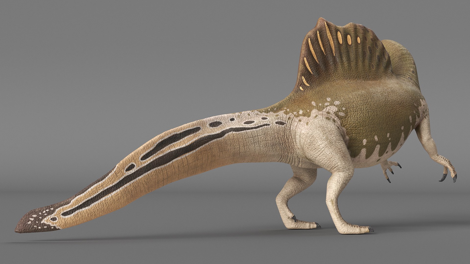 3D Spinosaurus Dinosaur Yellow Roaring Pose Model - TurboSquid 2267073