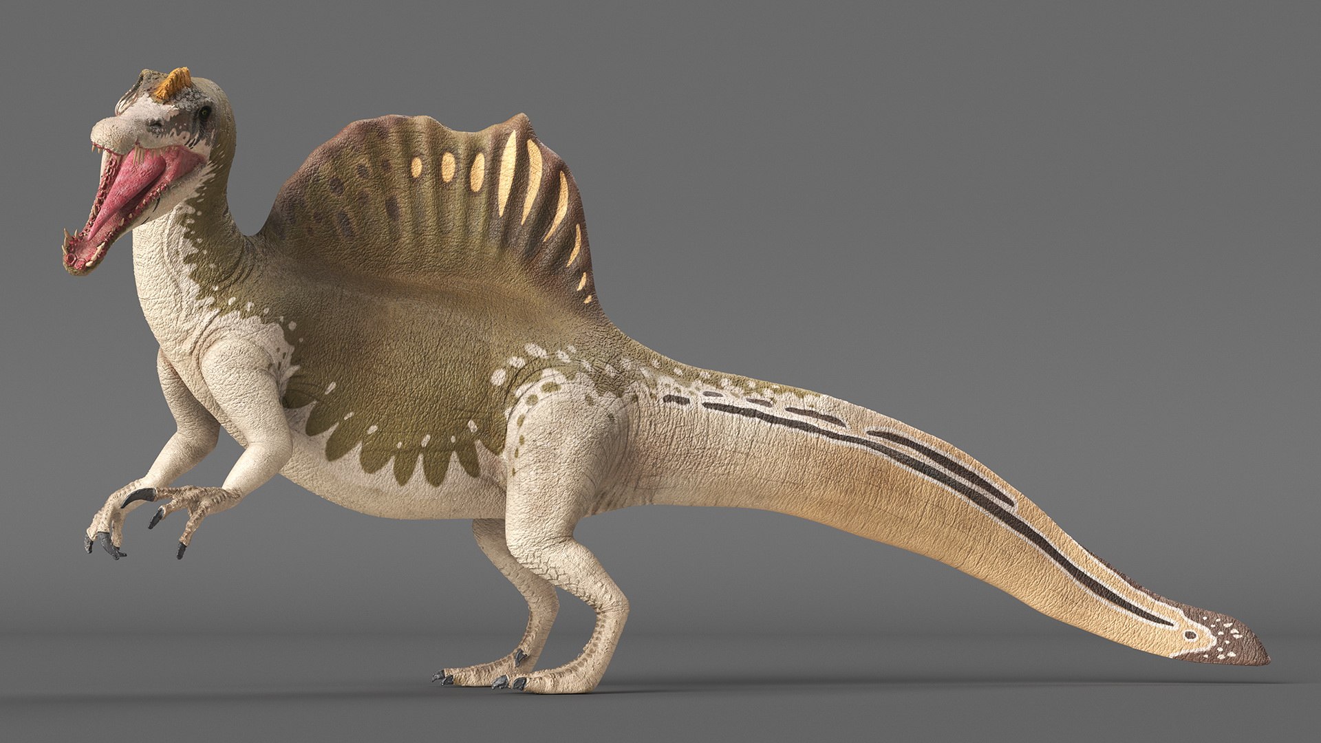 3D Spinosaurus Dinosaur Yellow Roaring Pose Model - TurboSquid 2267073
