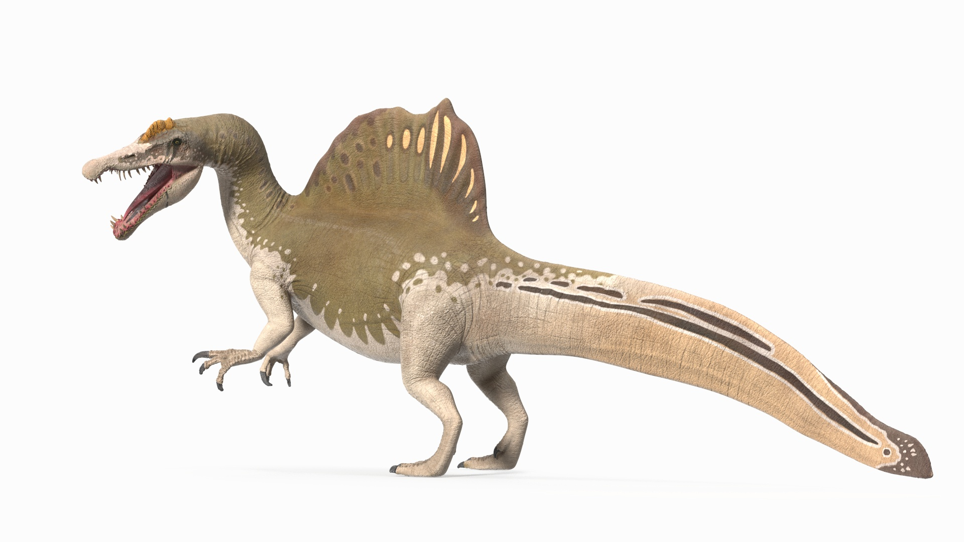 3D Spinosaurus Dinosaur Yellow Roaring Pose Model - TurboSquid 2267073