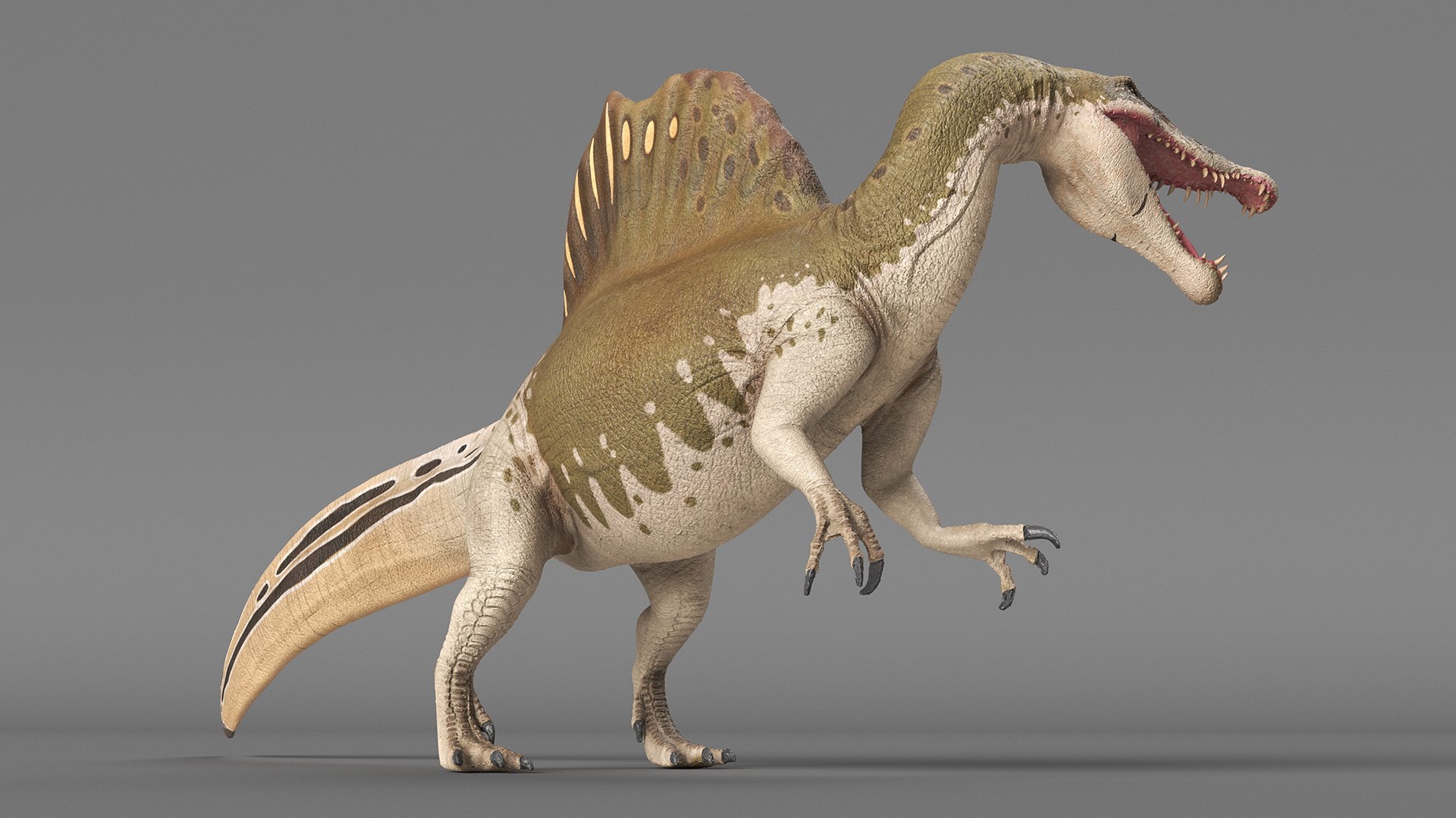 3D Spinosaurus Dinosaur Yellow Roaring Pose Model - TurboSquid 2267073