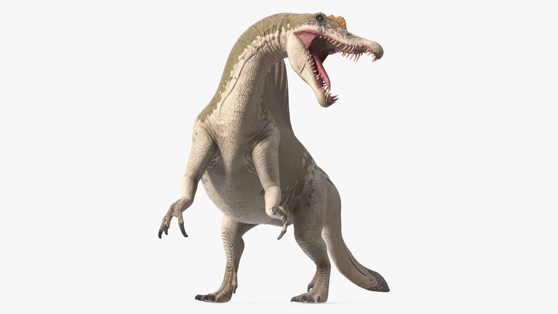 3D Spinosaurus Dinosaur Yellow Roaring Pose Model - TurboSquid 2267073