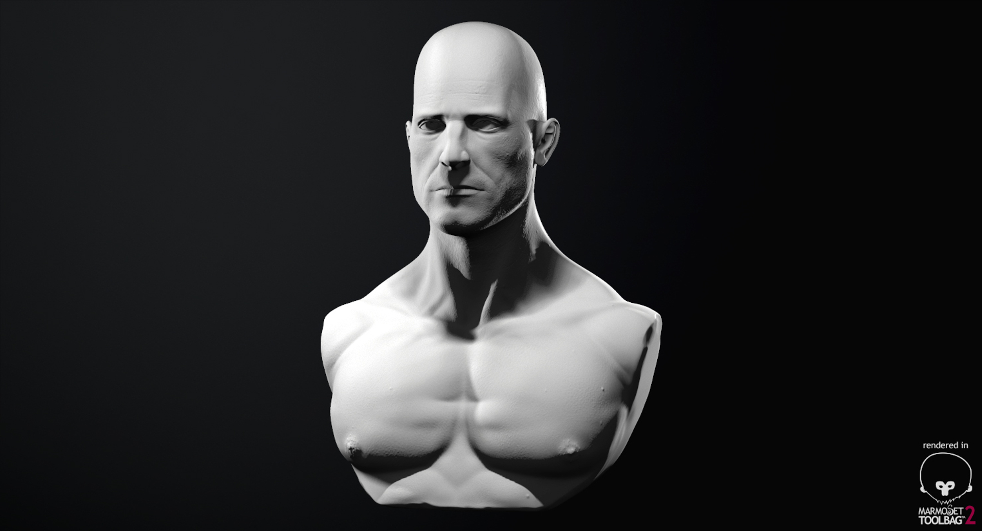 3d Male Bust Model