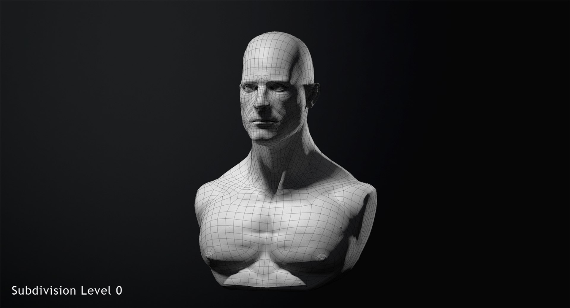 3d Male Bust Model