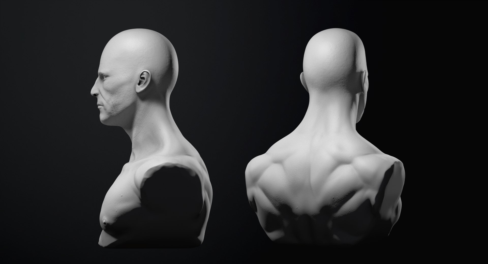 3d Male Bust Model